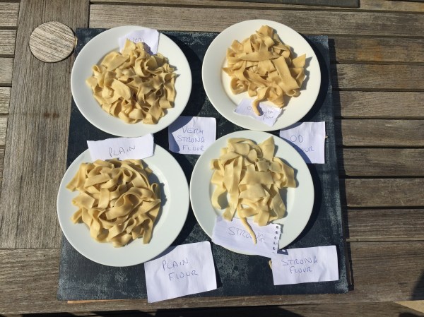 Gluten and pasta NEA 1 Investigation | The Nutrition Program Blog